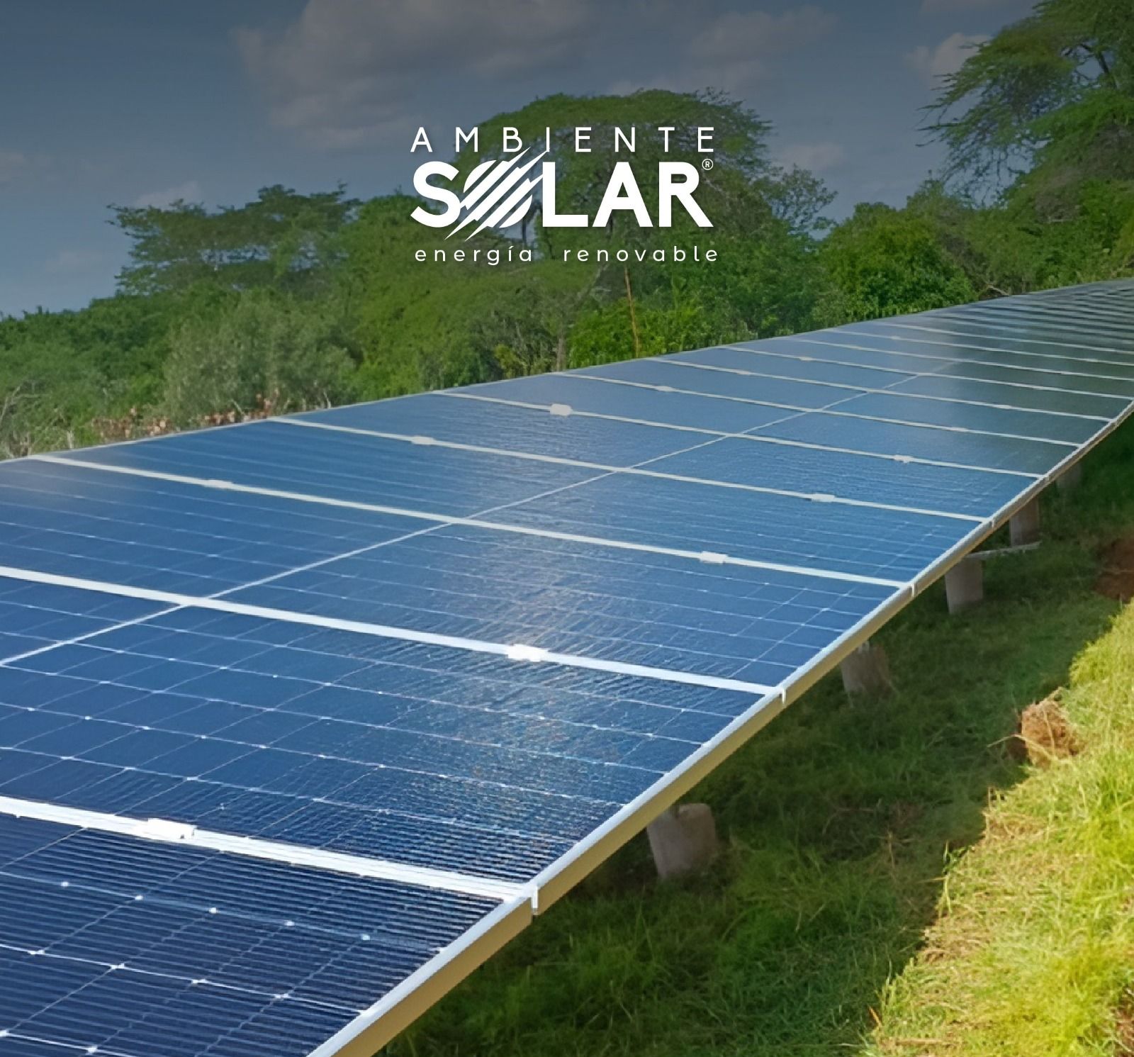 Mini Granjas Solares en Colombia | Ambiente Solar